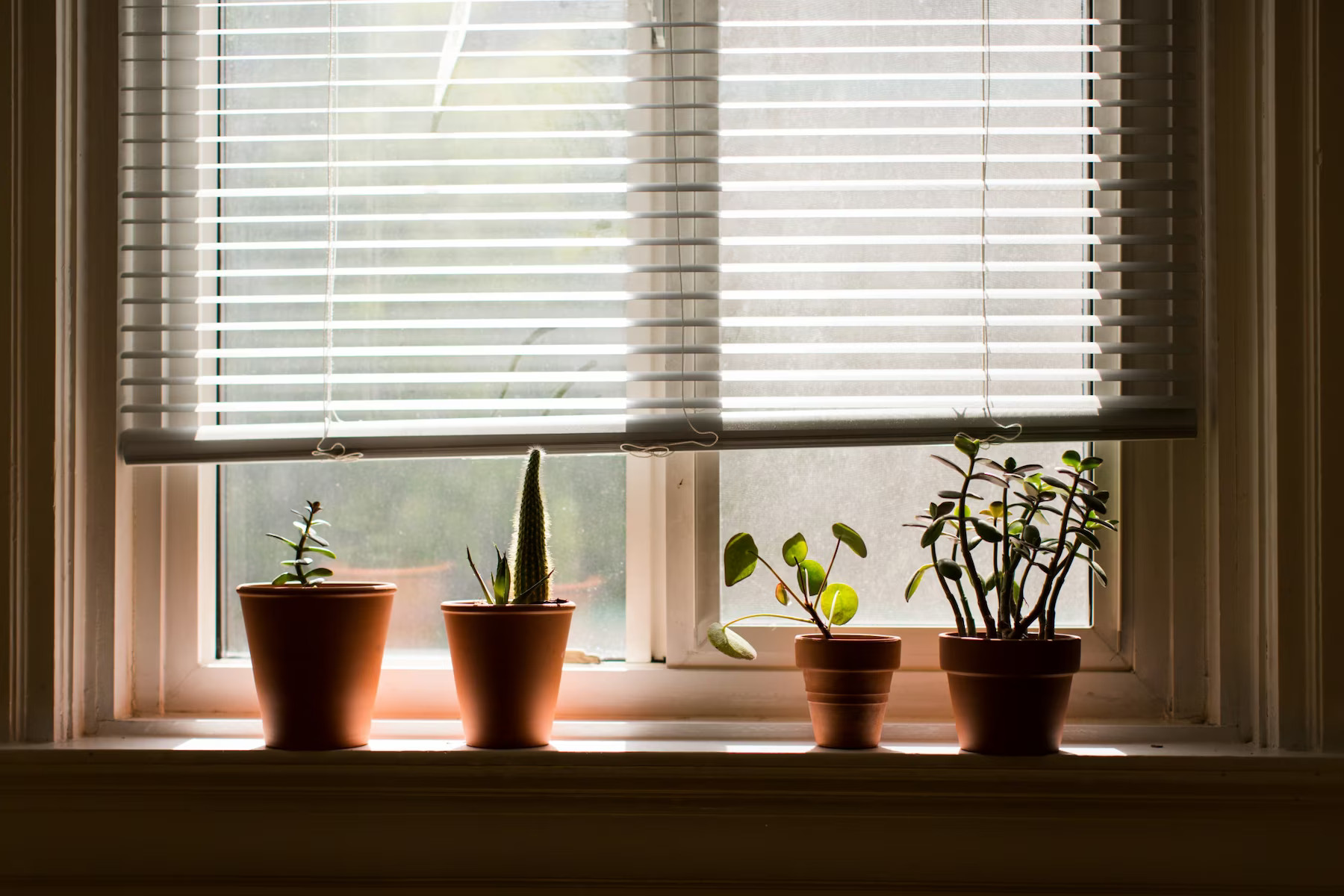 Elevate Your Window Style: 9 Trending Pelmet Designs to Enhance Your ...